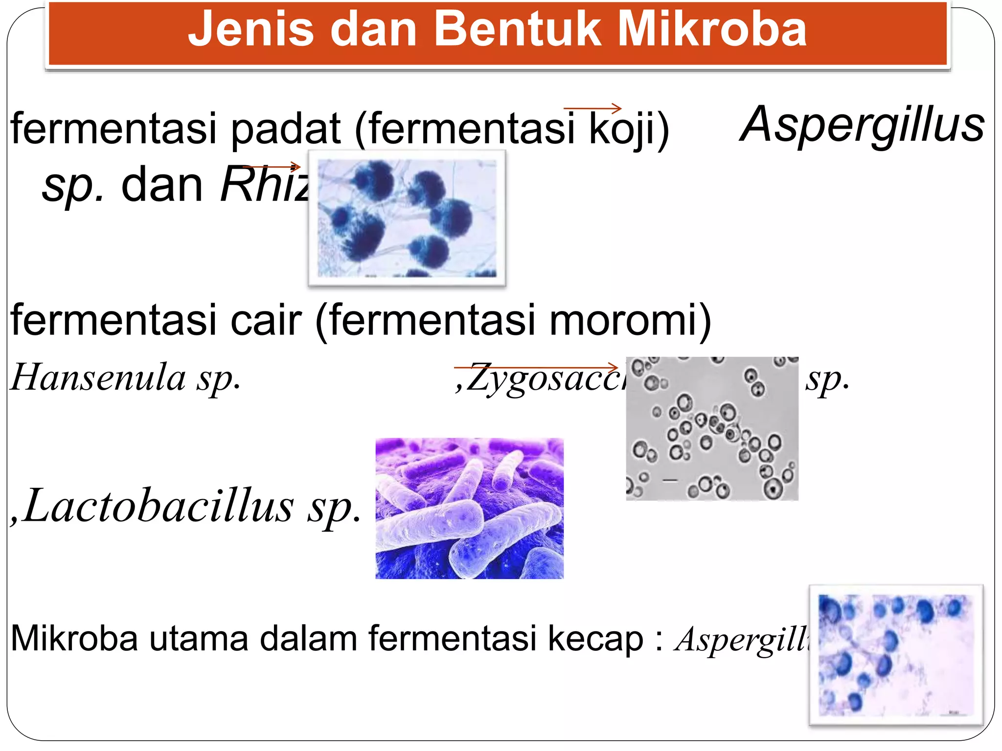 Teknologi Fermentasi pada Kecap | PPTX