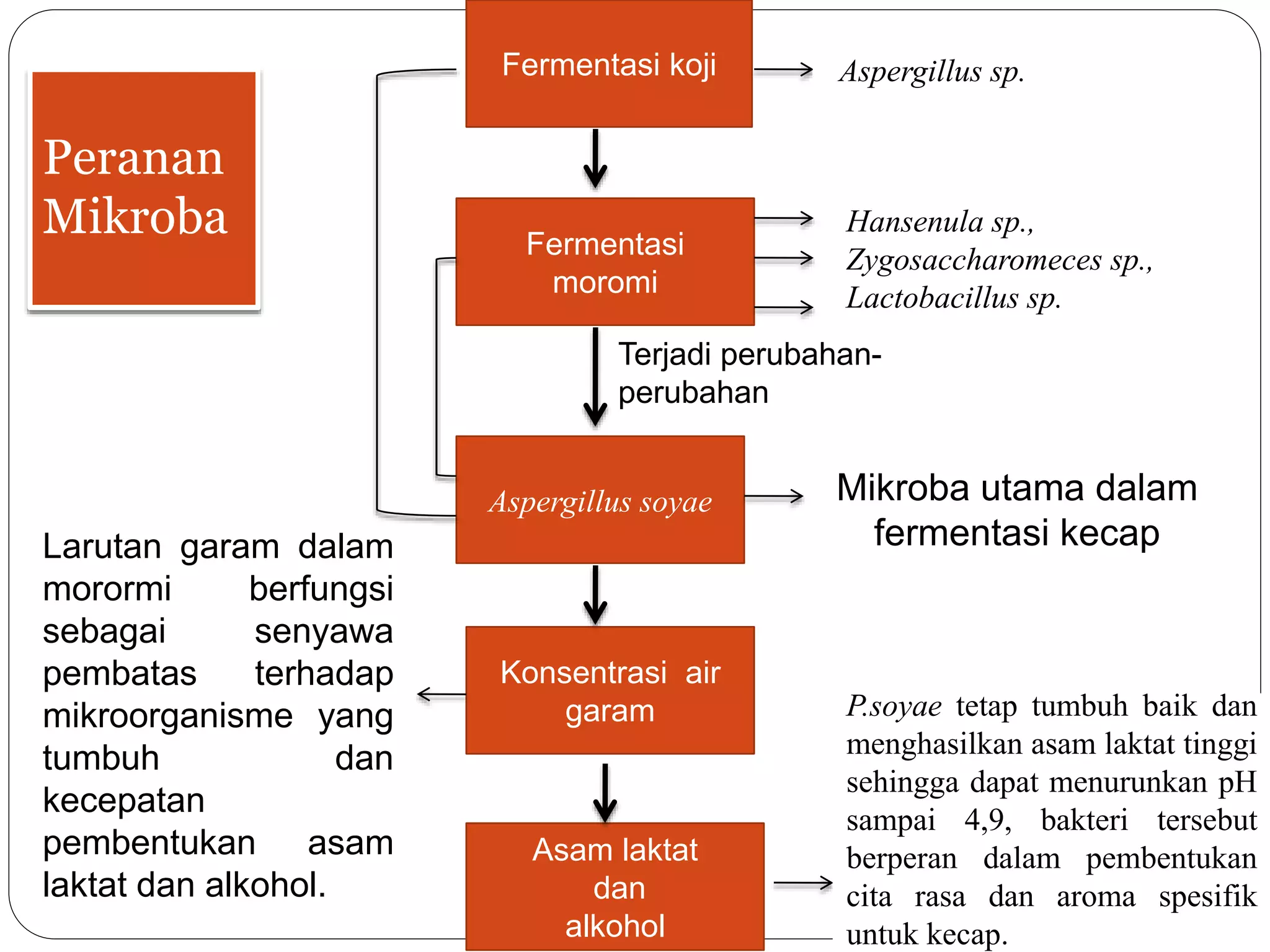 Teknologi Fermentasi pada Kecap | PPTX