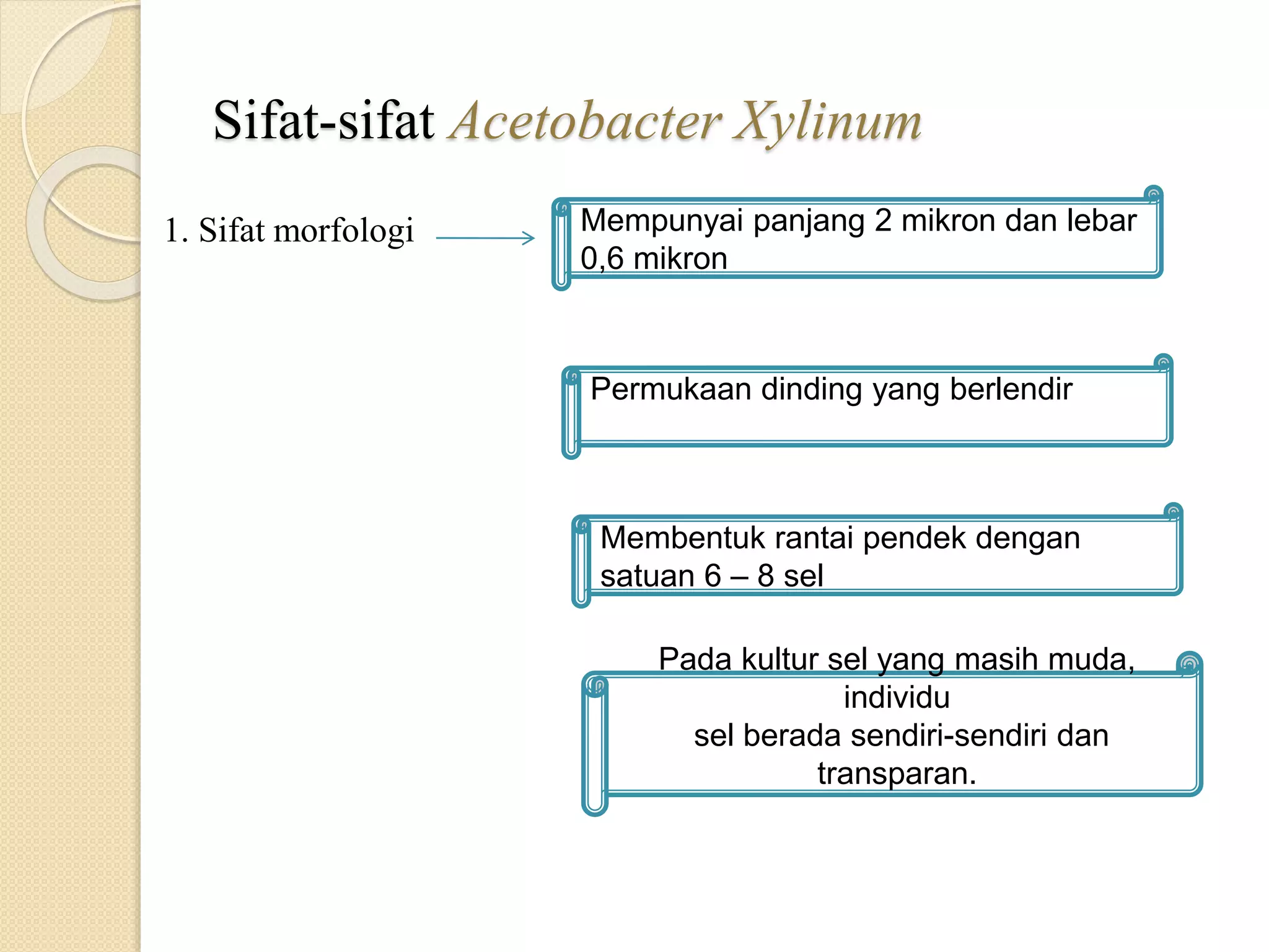Teknologi Fermentasi Nata de coco | PPTX