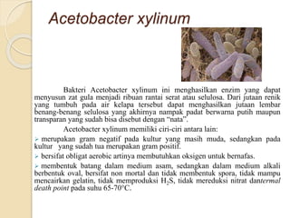 Teknologi Fermentasi Nata de coco | PPTX