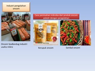 Teknologi Fermentasi pada Oncom | PPTX