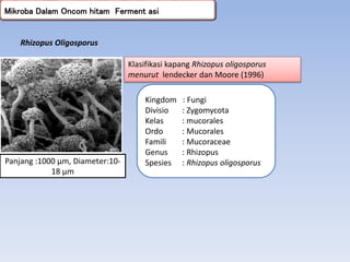 Teknologi Fermentasi pada Oncom | PPTX