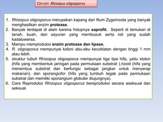 Teknologi Fermentasi pada Oncom | PPTX