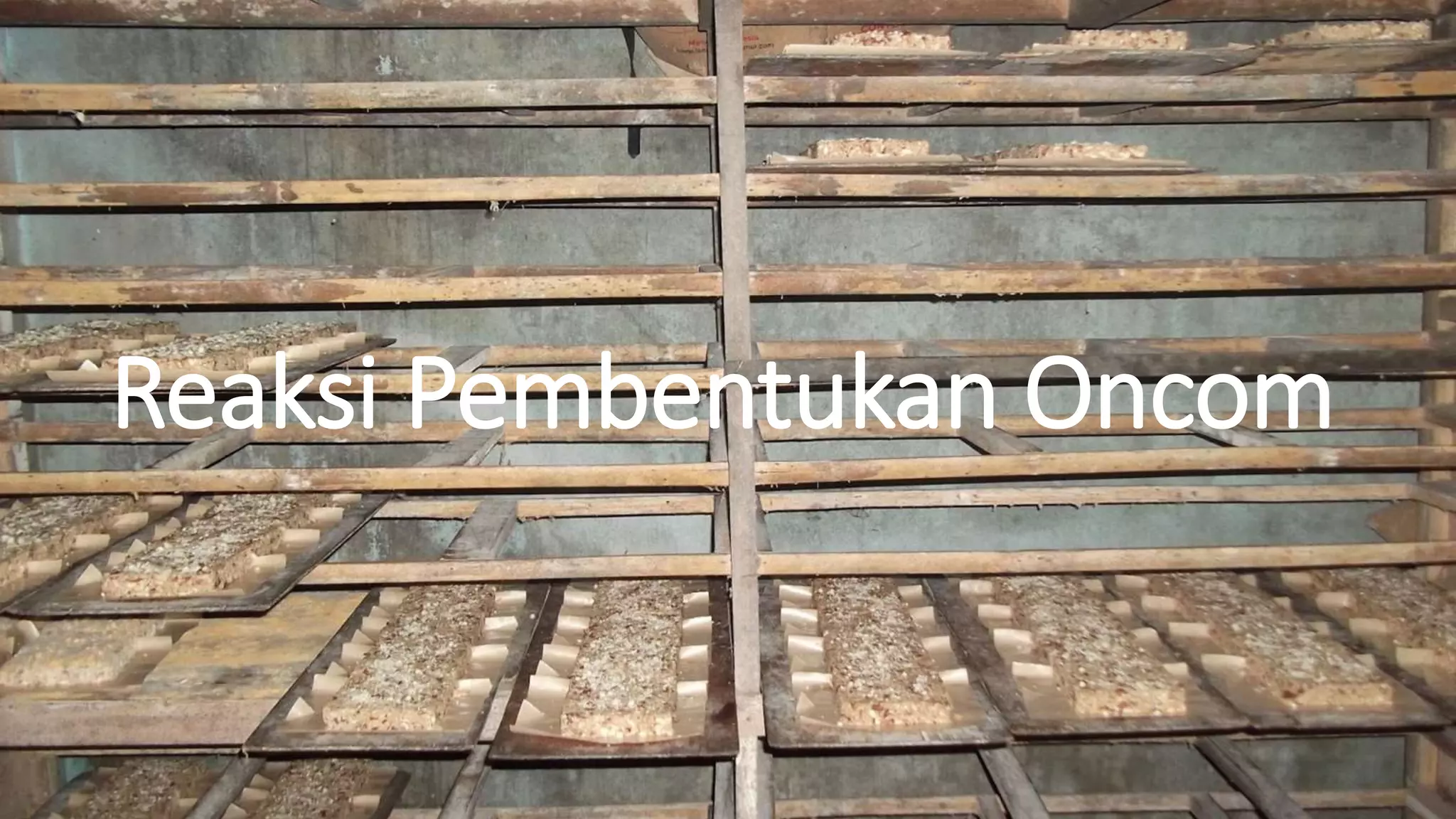Fermentasi Oncom - Proses Respirasi Anaerob | PPTX