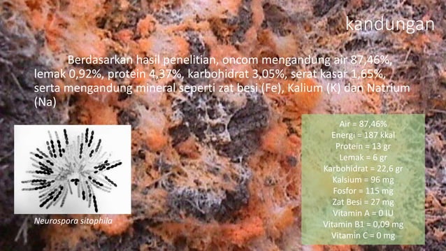 Fermentasi Oncom - Proses Respirasi Anaerob | PPTX