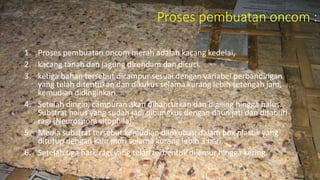 Fermentasi Oncom - Proses Respirasi Anaerob | PPTX