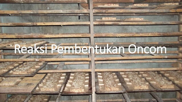 Fermentasi Oncom - Proses Respirasi Anaerob | PPTX