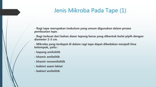 Fermentasi Tape - Proses Respirasi Anaerob | PPTX