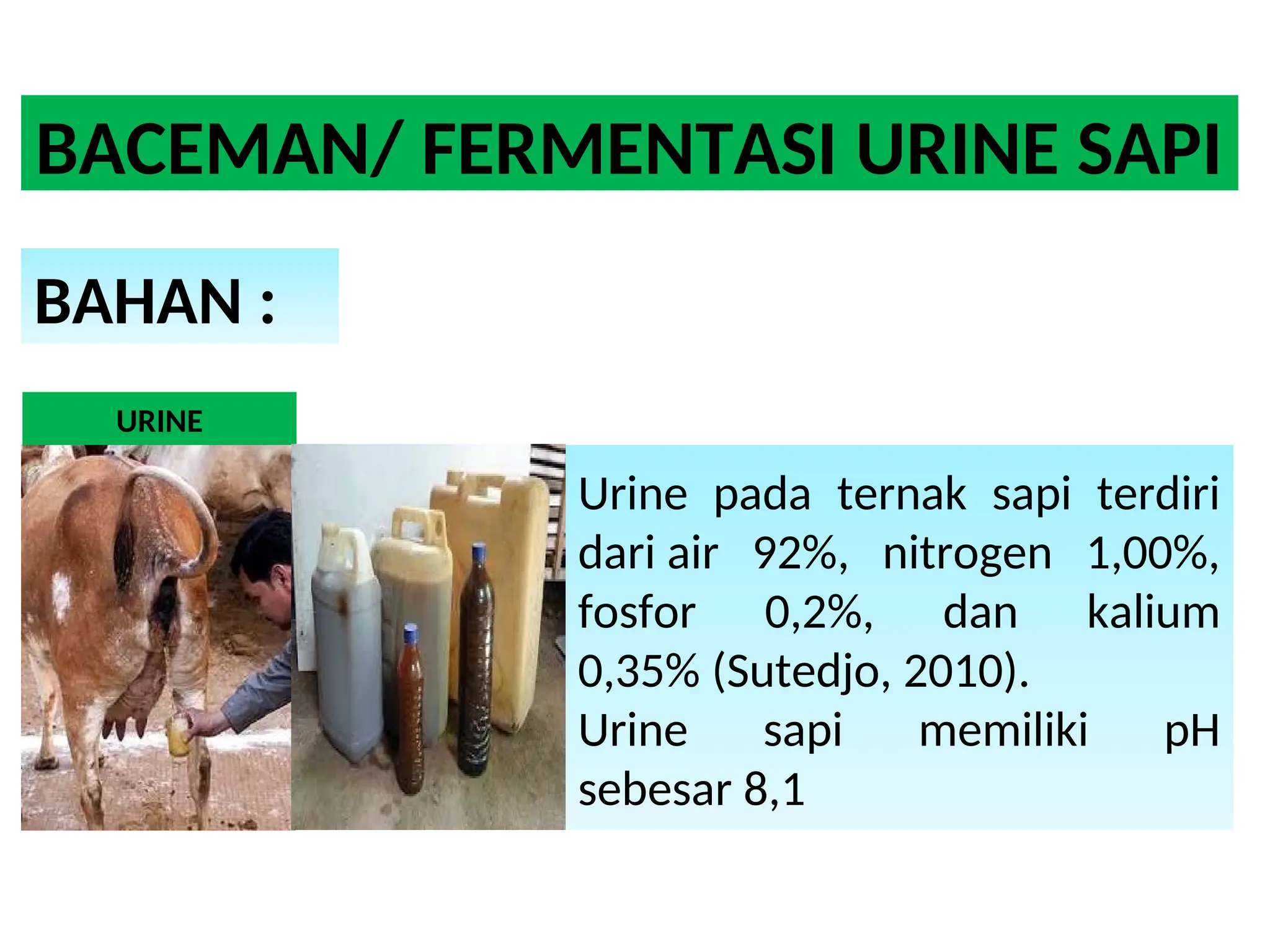 FERMENTASI URINE SAPI ATAU disebut juga FERINSA.ppt