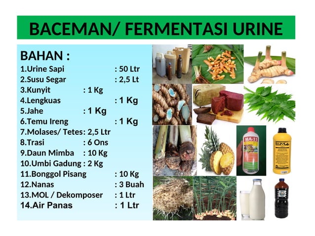 FERMENTASI URINE SAPI ATAU disebut juga FERINSA.ppt