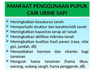 FERMENTASI URINE SAPI ATAU disebut juga FERINSA.ppt