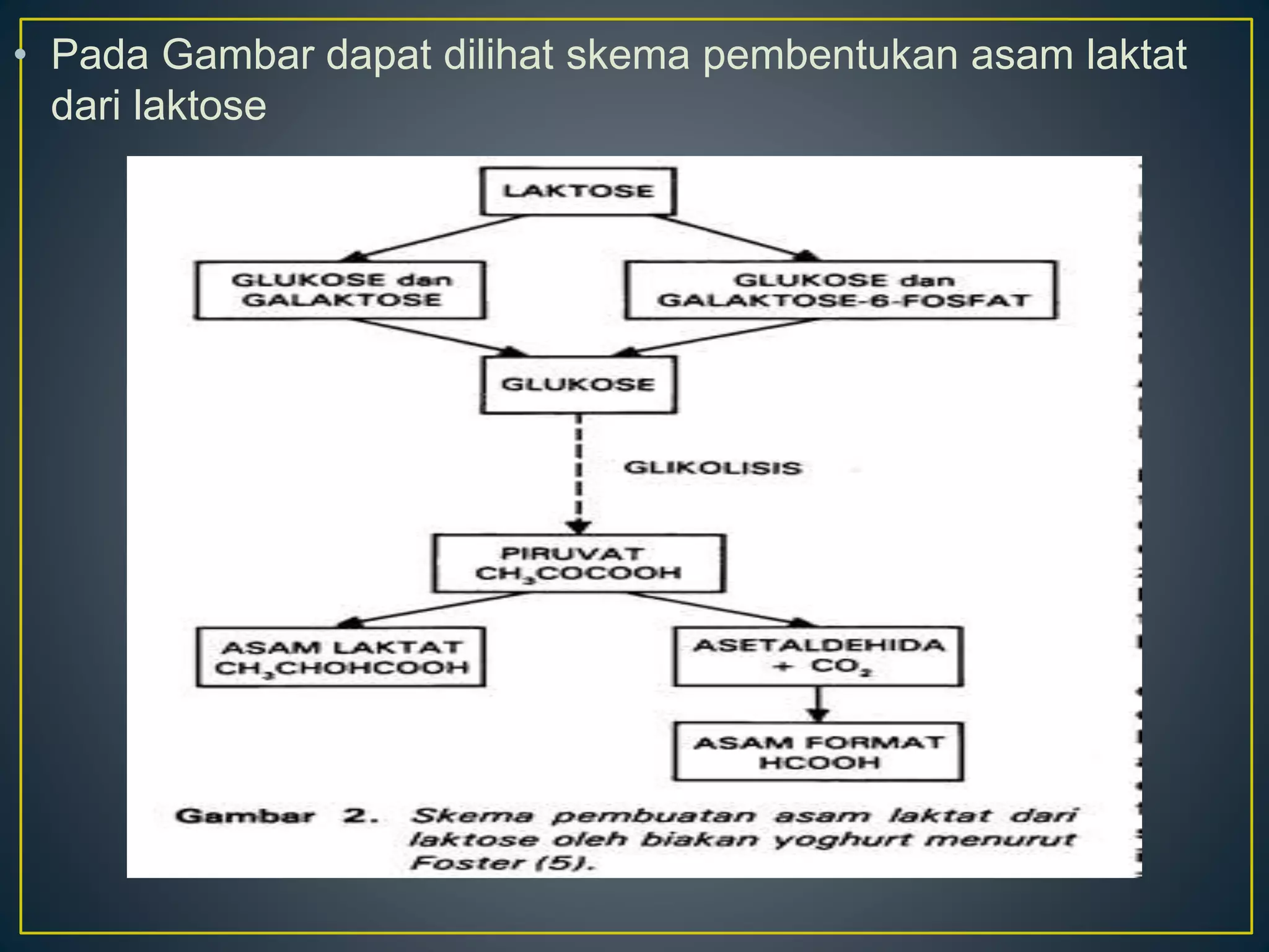 Fermentasi Yoghurt - Proses Respirasi Anaerob | PPTX