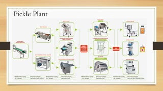 Fermented food pickle | PPTX