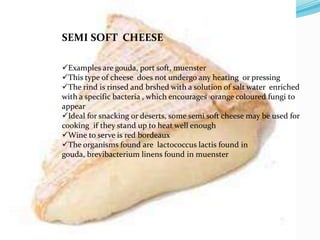 Fermentated milk products | PPTX
