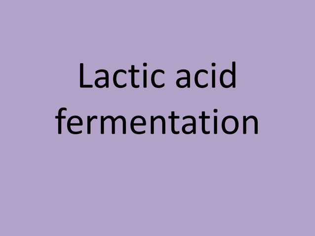 Fermentation | PPT