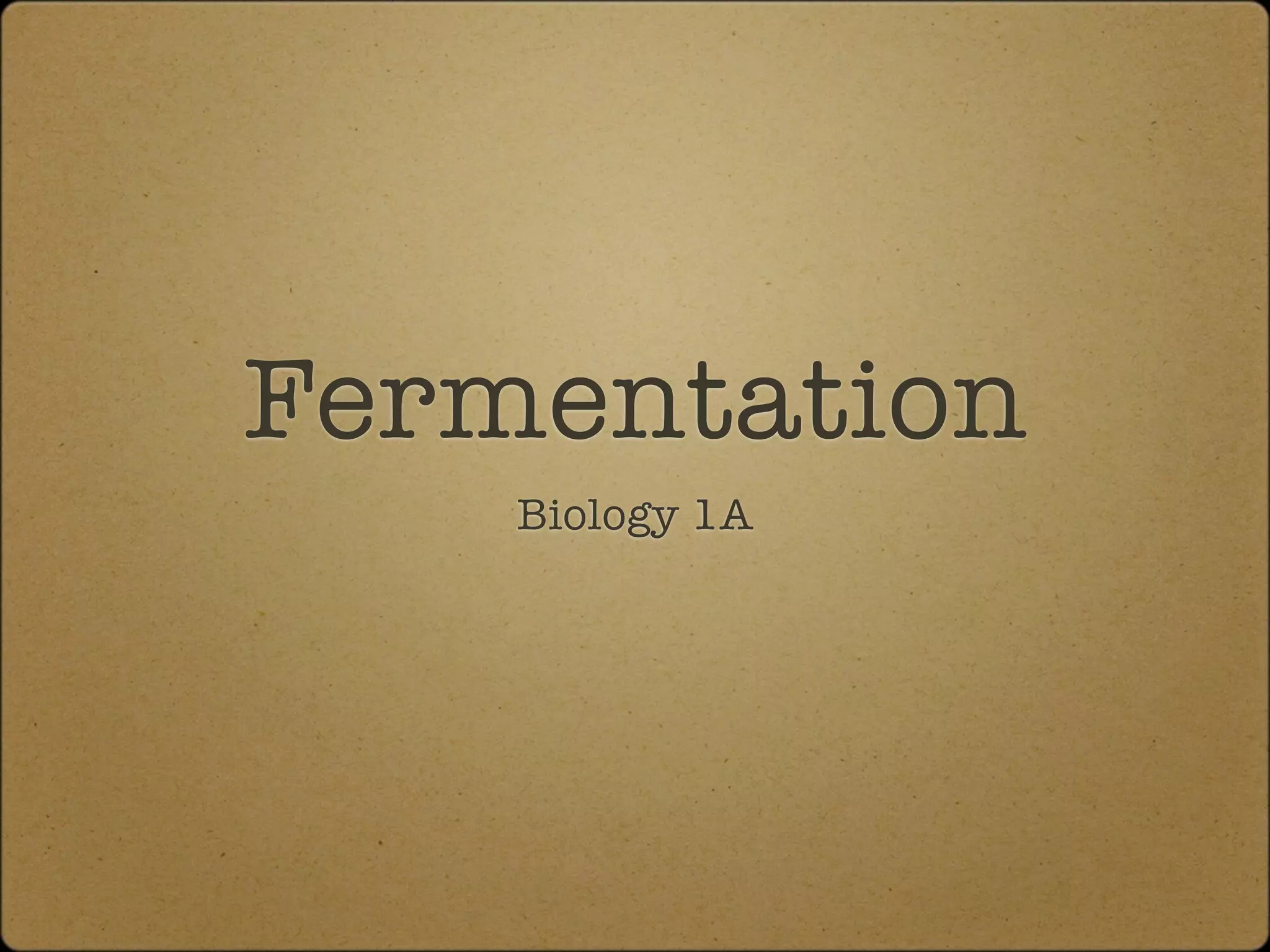 Fermentation | PPT