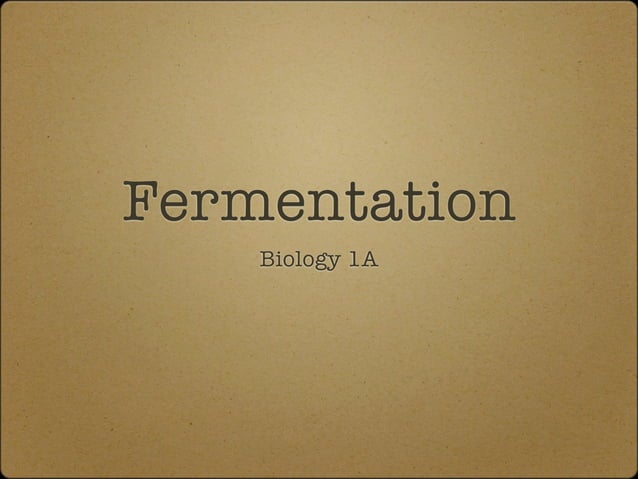 Fermentation | PPT