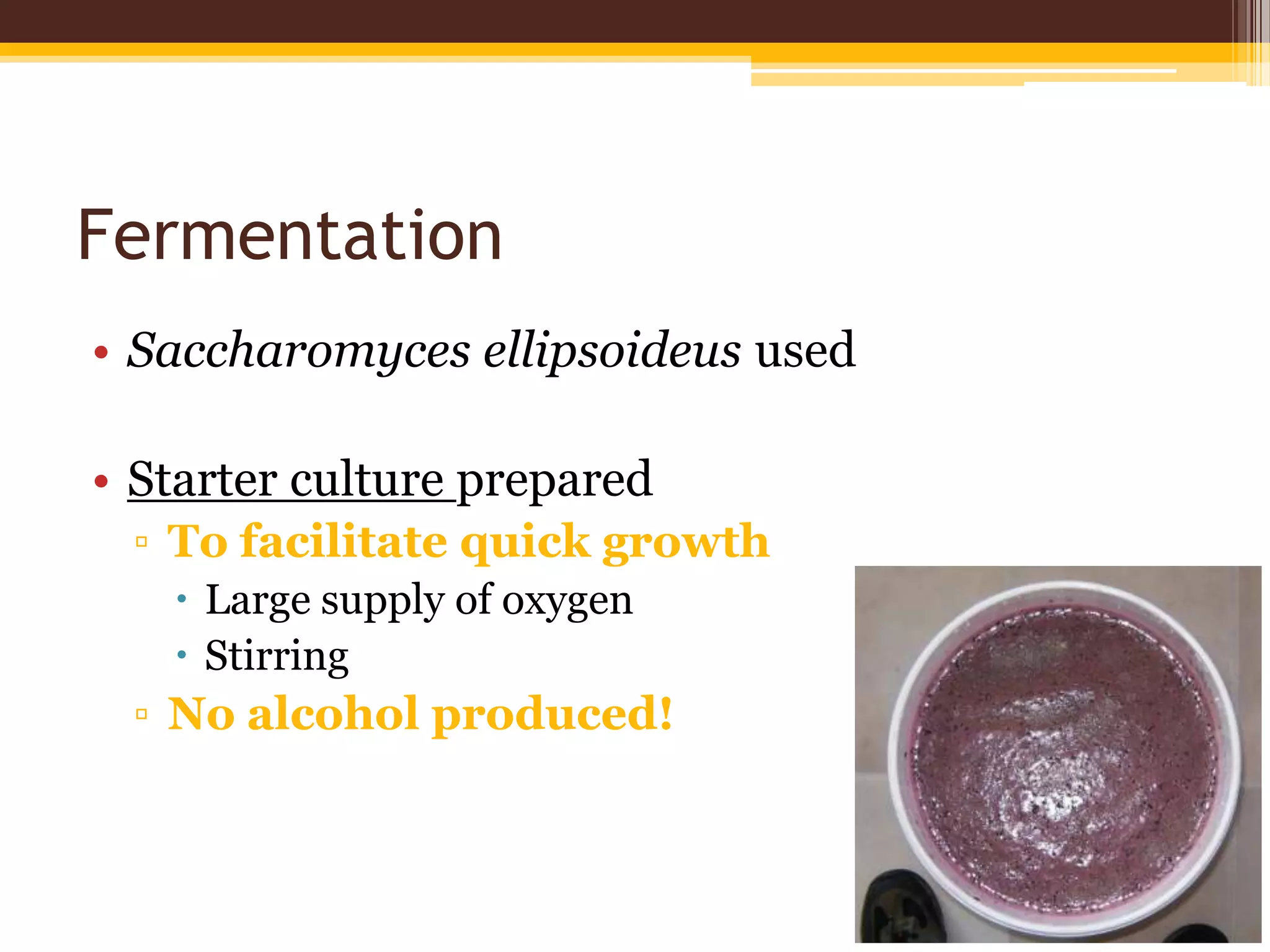 Fermentation | PPTX