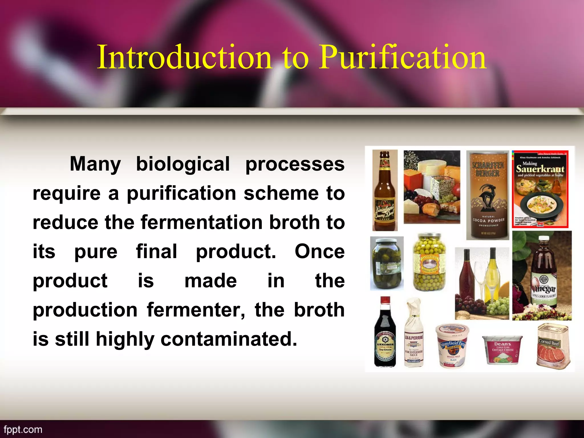 Fermentation | PPT