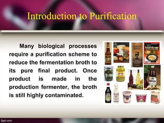 Fermentation | PPT