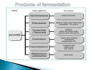Fermentation | PPTX