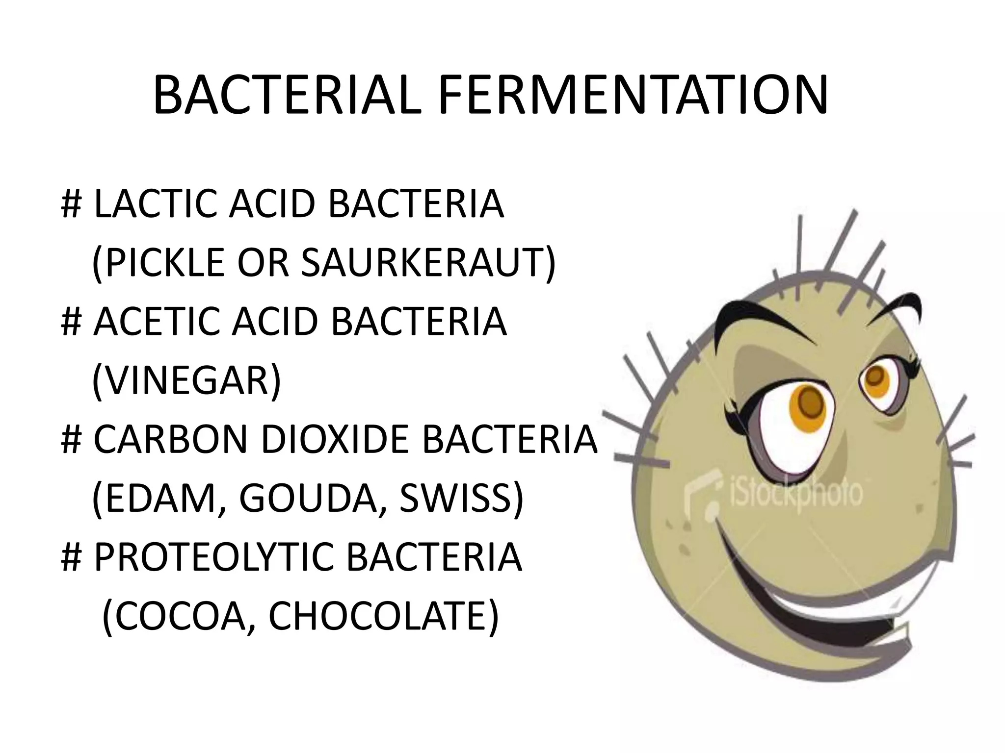 Fermentation / fermented food / type of fermented food / microbial ...