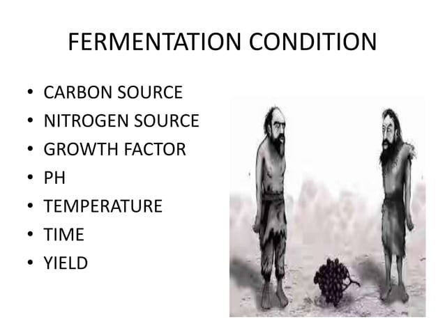 Fermentation / fermented food / type of fermented food / microbial ...