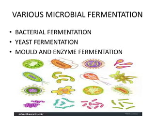 Fermentation / fermented food / type of fermented food / microbial ...