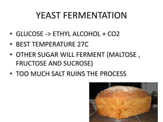 Fermentation / fermented food / type of fermented food / microbial ...