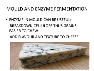 Fermentation / fermented food / type of fermented food / microbial ...