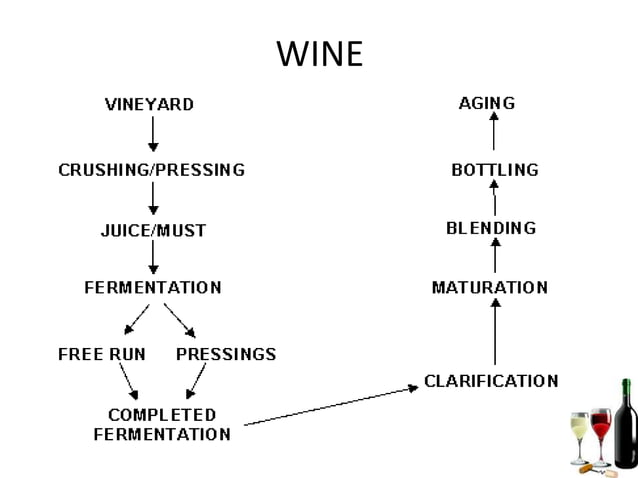 Fermentation / fermented food / type of fermented food / microbial ...