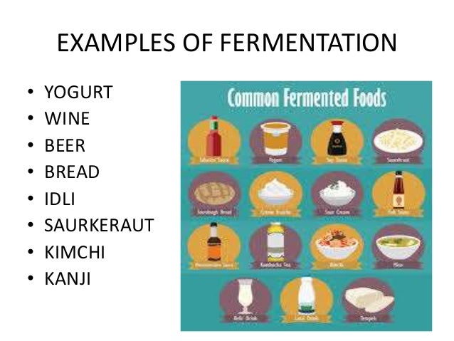 Fermentation / fermented food / type of fermented food / microbial ac…