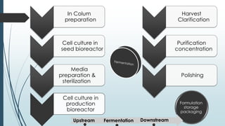 The medical application of fermentation technology | PDF