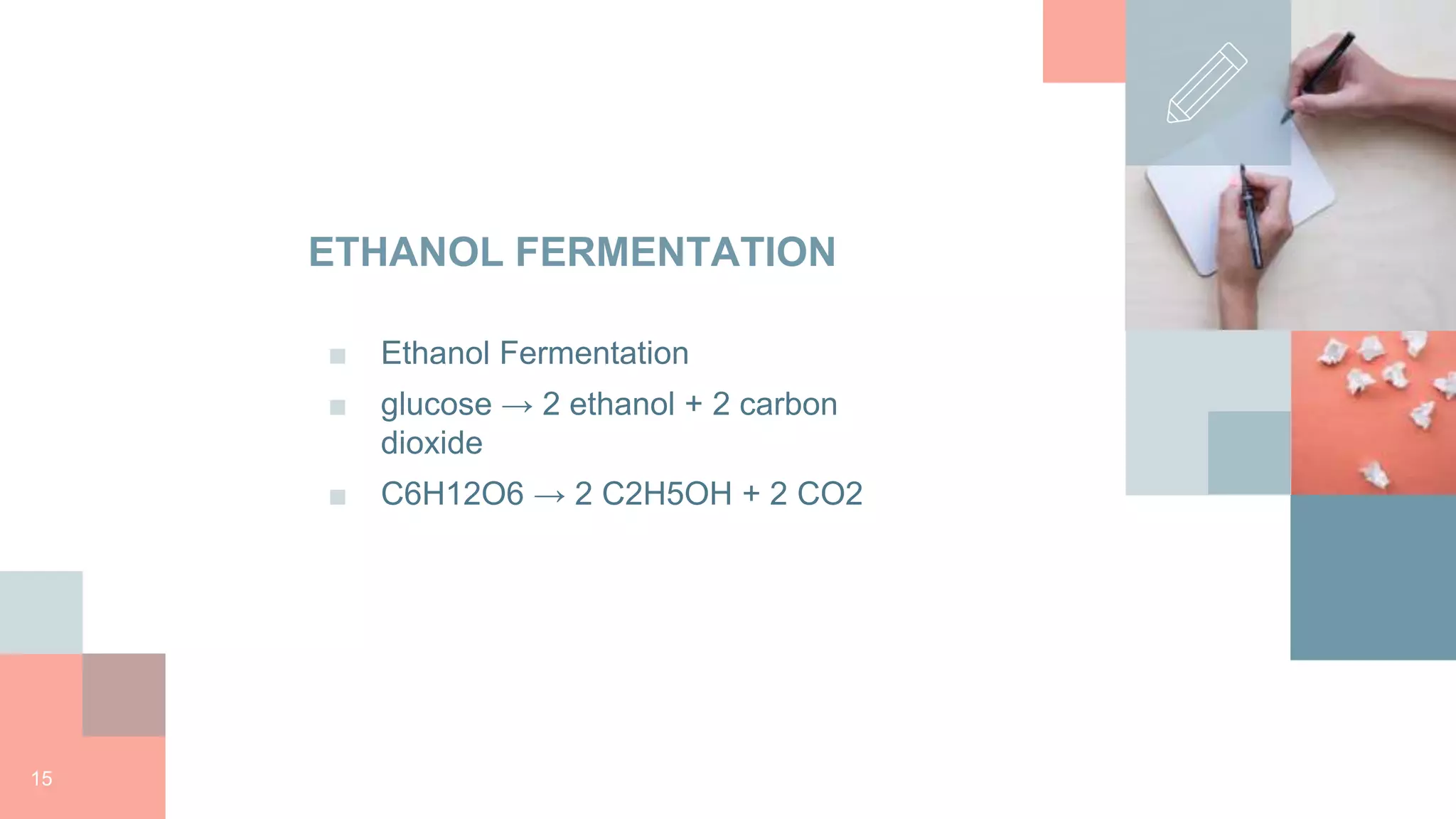 Fermentation | PPT