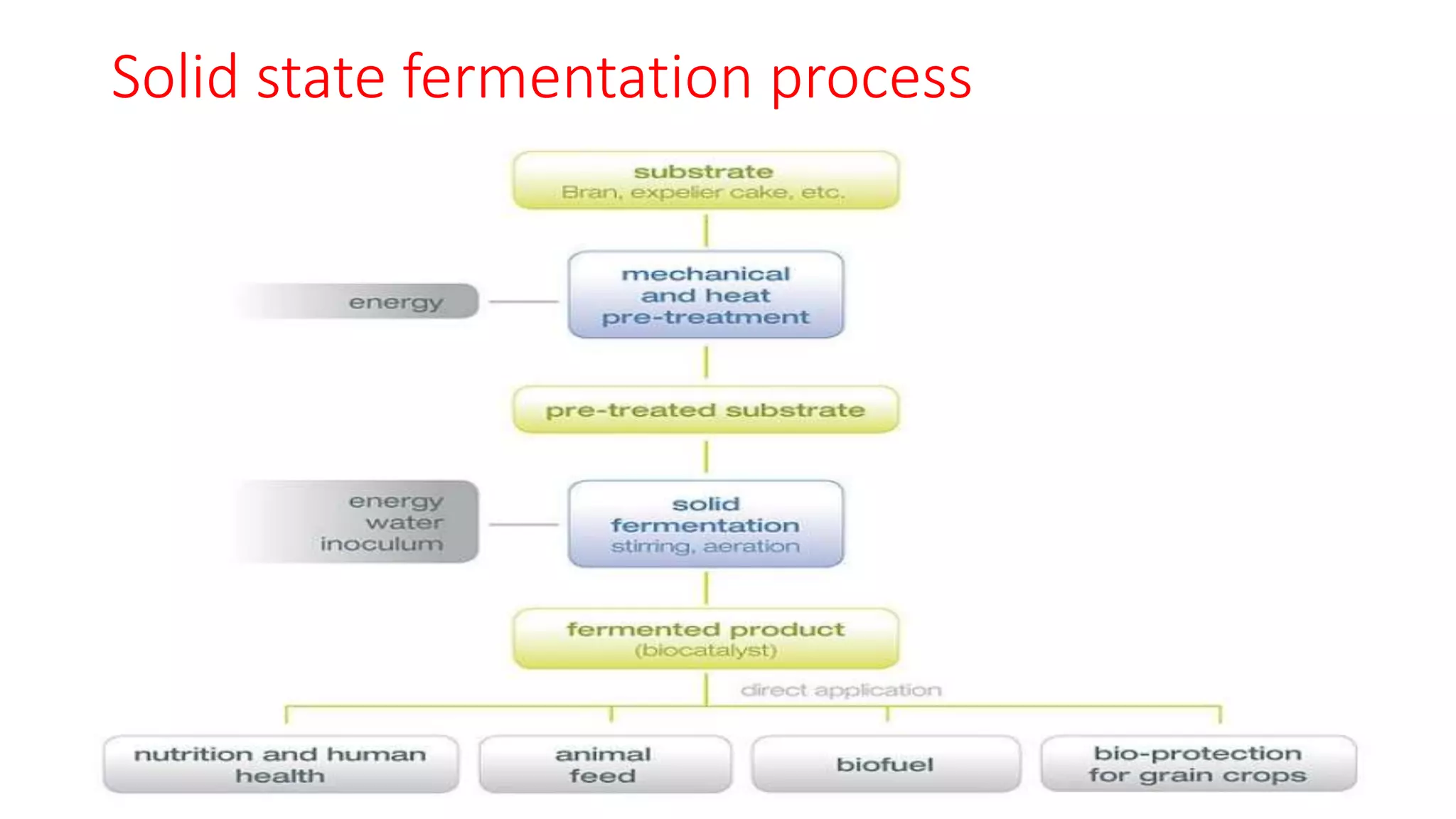 Fermentation | PPTX