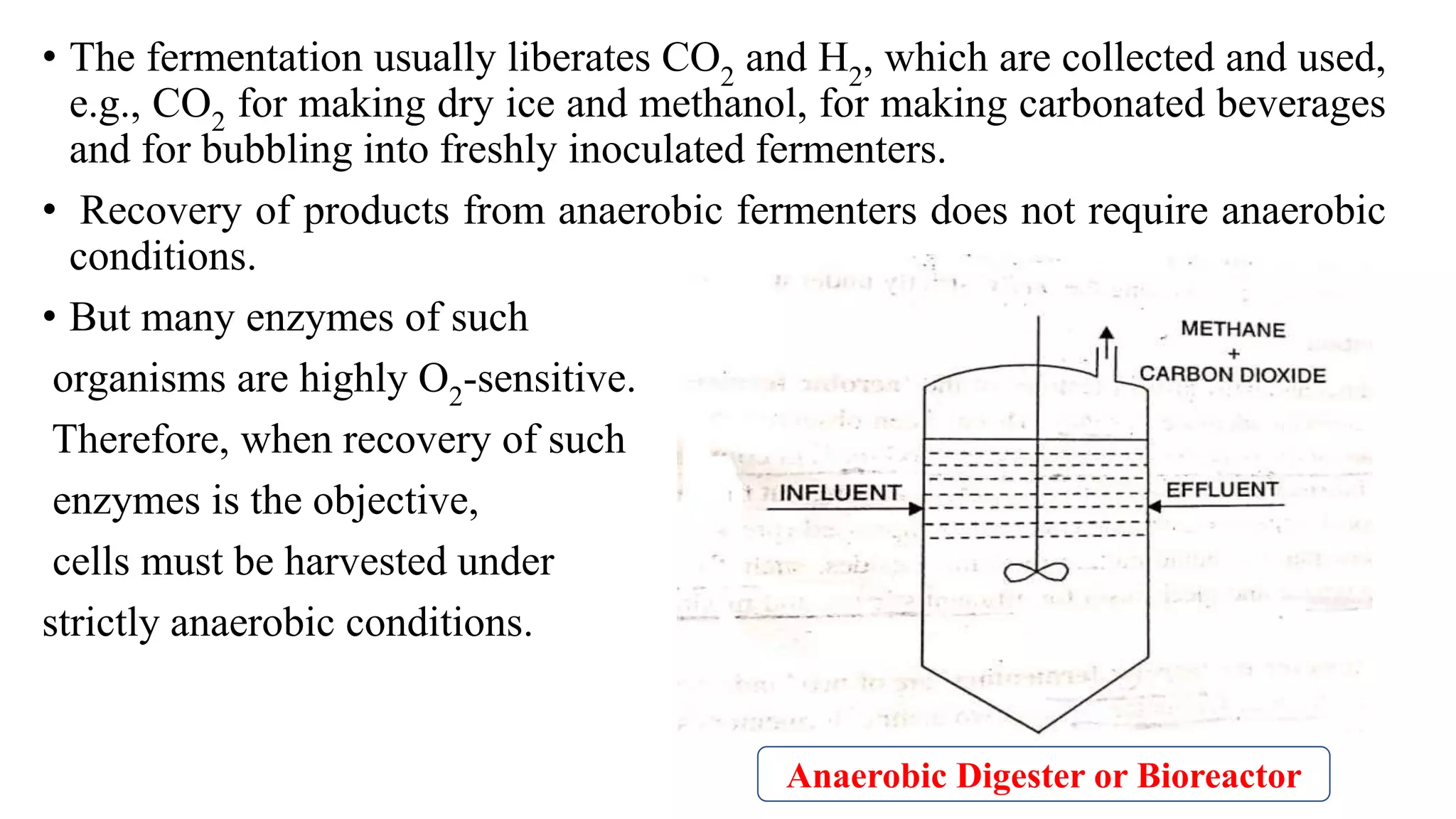 Fermentation | PPTX