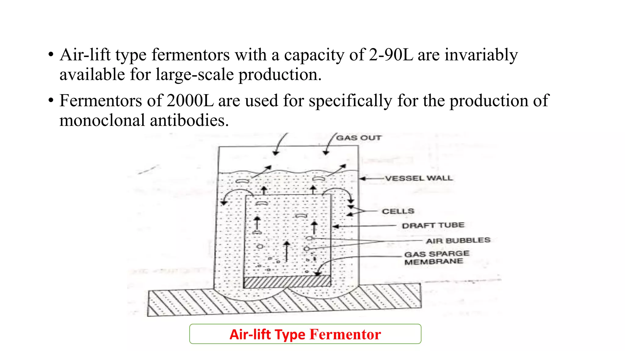 Fermentation | PPTX
