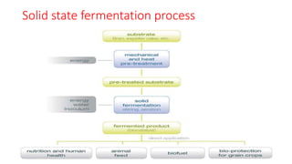 Fermentation | PPTX