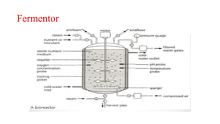 Fermentation | PPTX