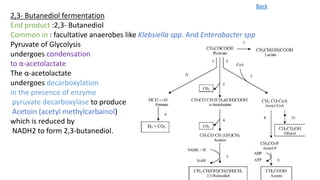 Fermentation | PPTX
