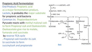 Fermentation | PPTX