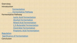 Fermentation | PPTX