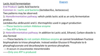 Fermentation | PPTX
