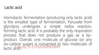 Fermentation | PPT