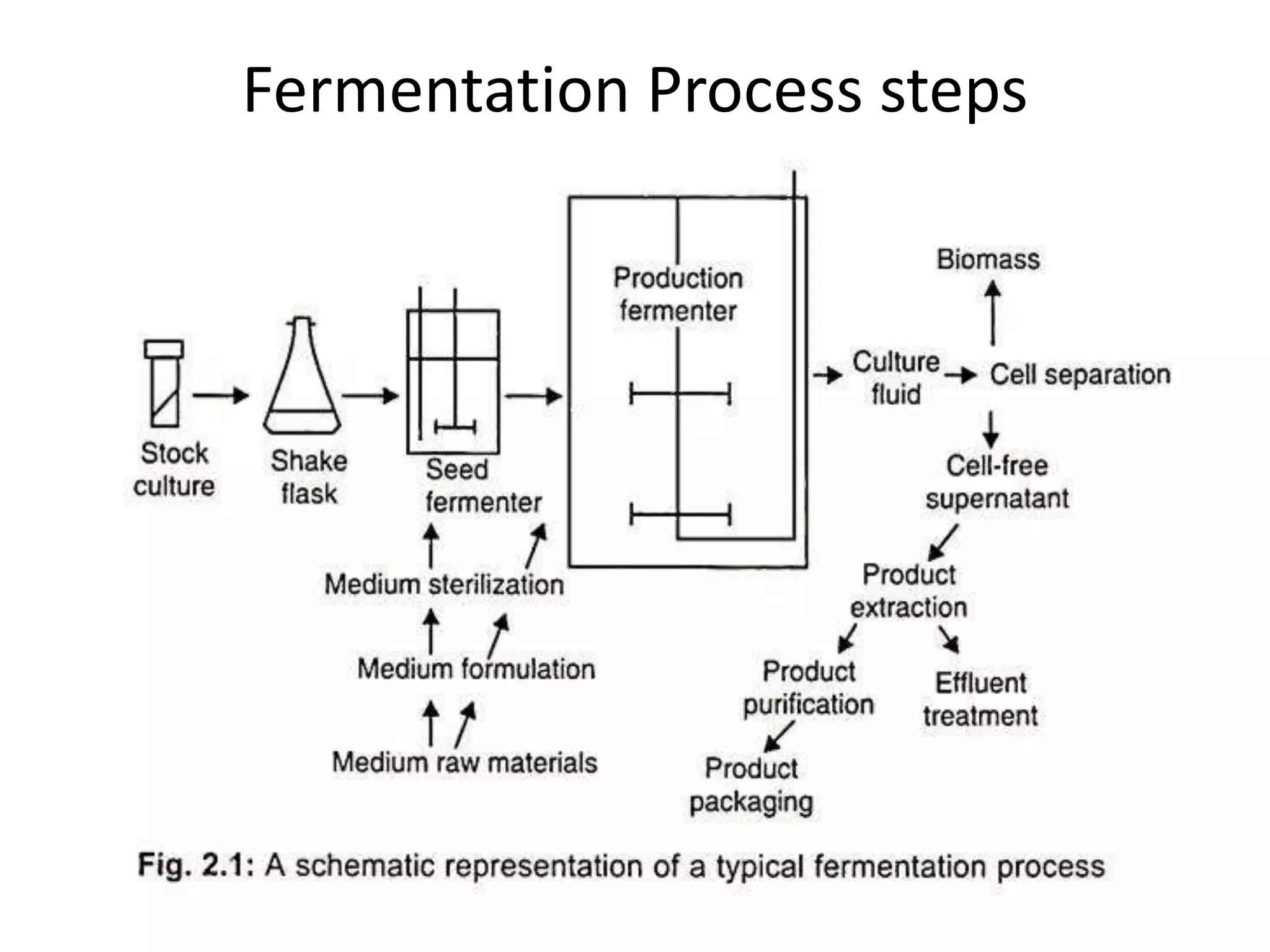Fermentation | PPTX