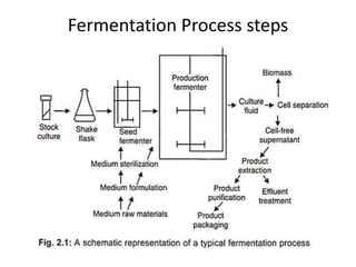 Fermentation Process Diagram