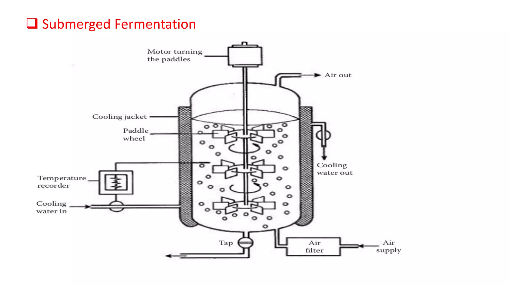Fermentation | PPTX