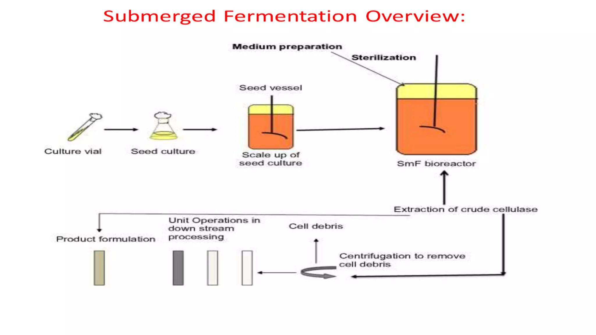 Fermentation | PPTX