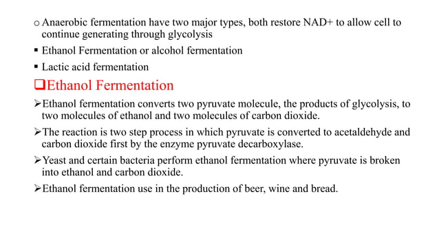 Fermentation | PPTX | Chemistry | Science