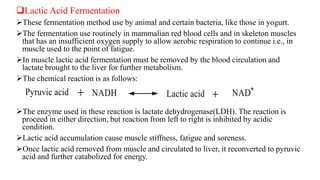 Fermentation | PPTX